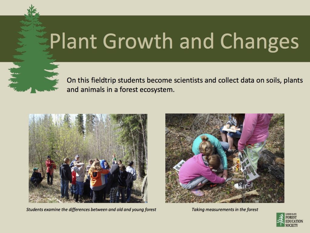Grade 4- Plant Growth and Changes – Lesser Slave Forest Education ...
